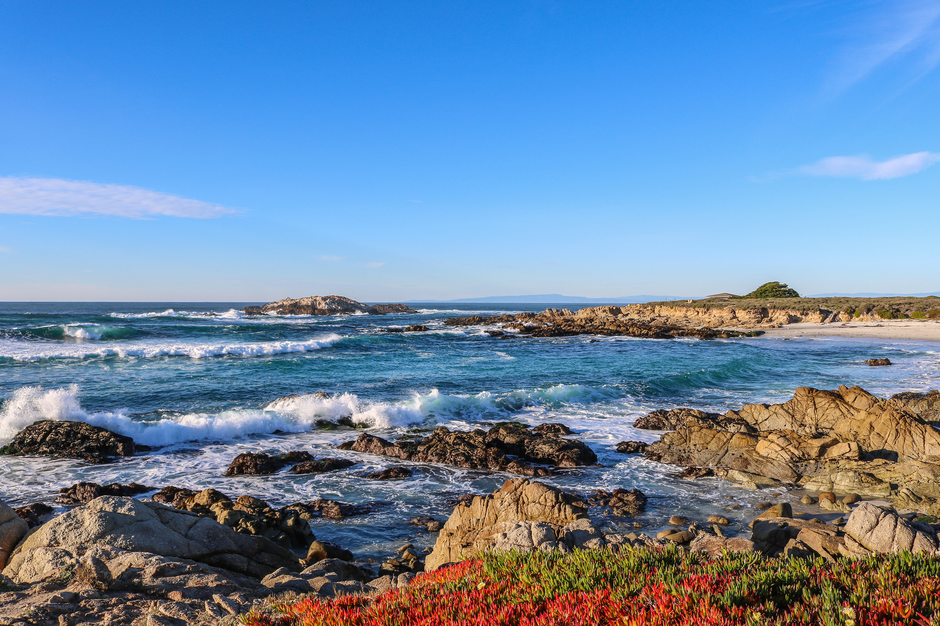 Our 10 Favorite Instagram Spots on 17-Mile Drive