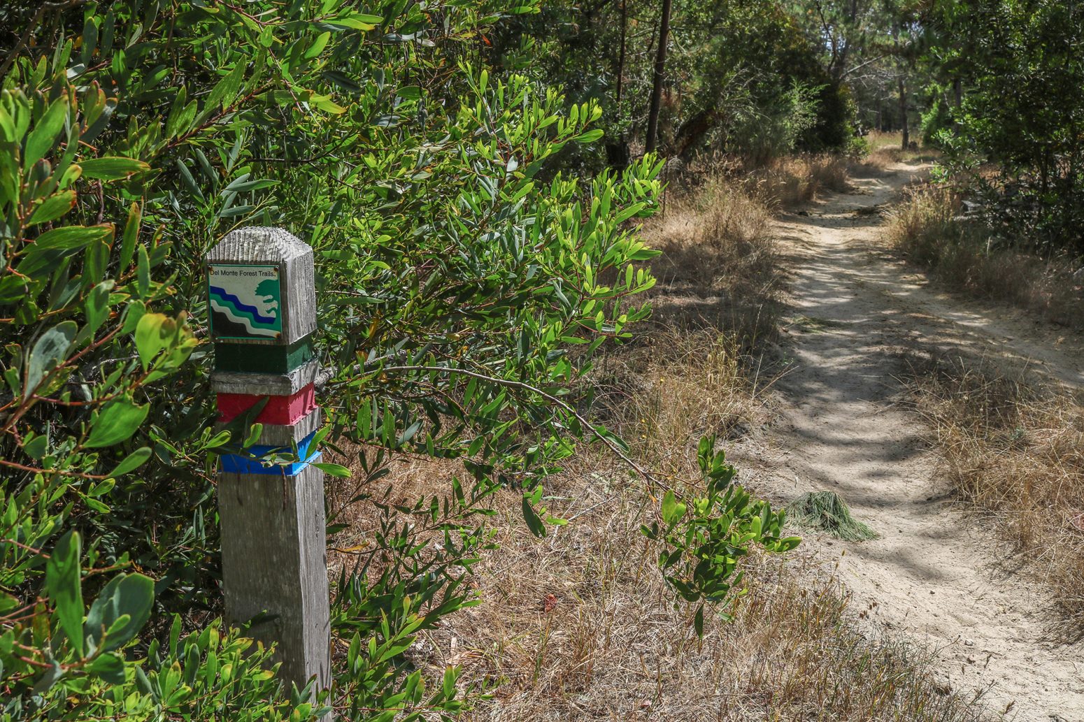 Happy Trails: Tips to Hiking the Del Monte Forest in Pebble Beach