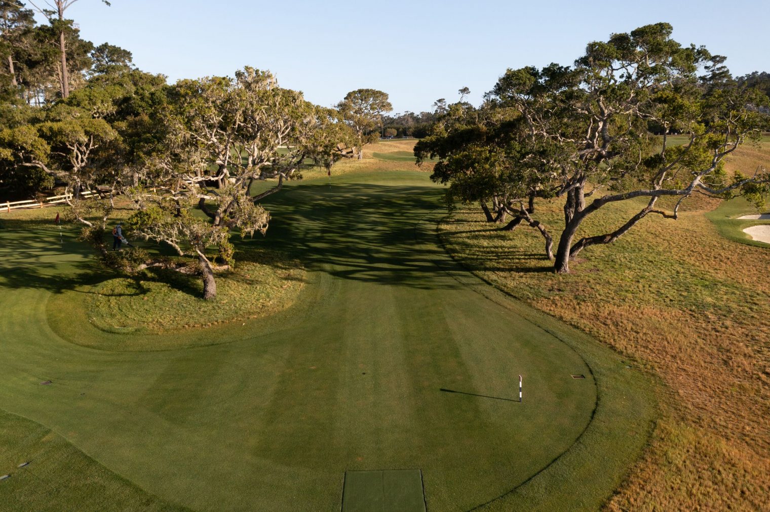 The Hay: A Year in Review